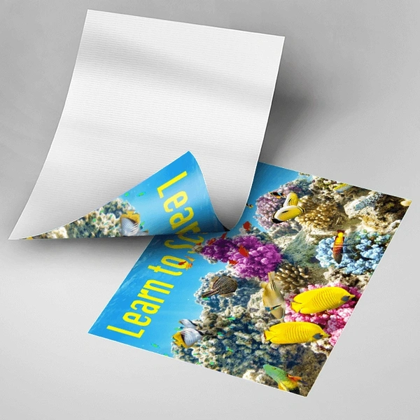 Waterproof Poster Printing - Durable Weatherproof | I You Print